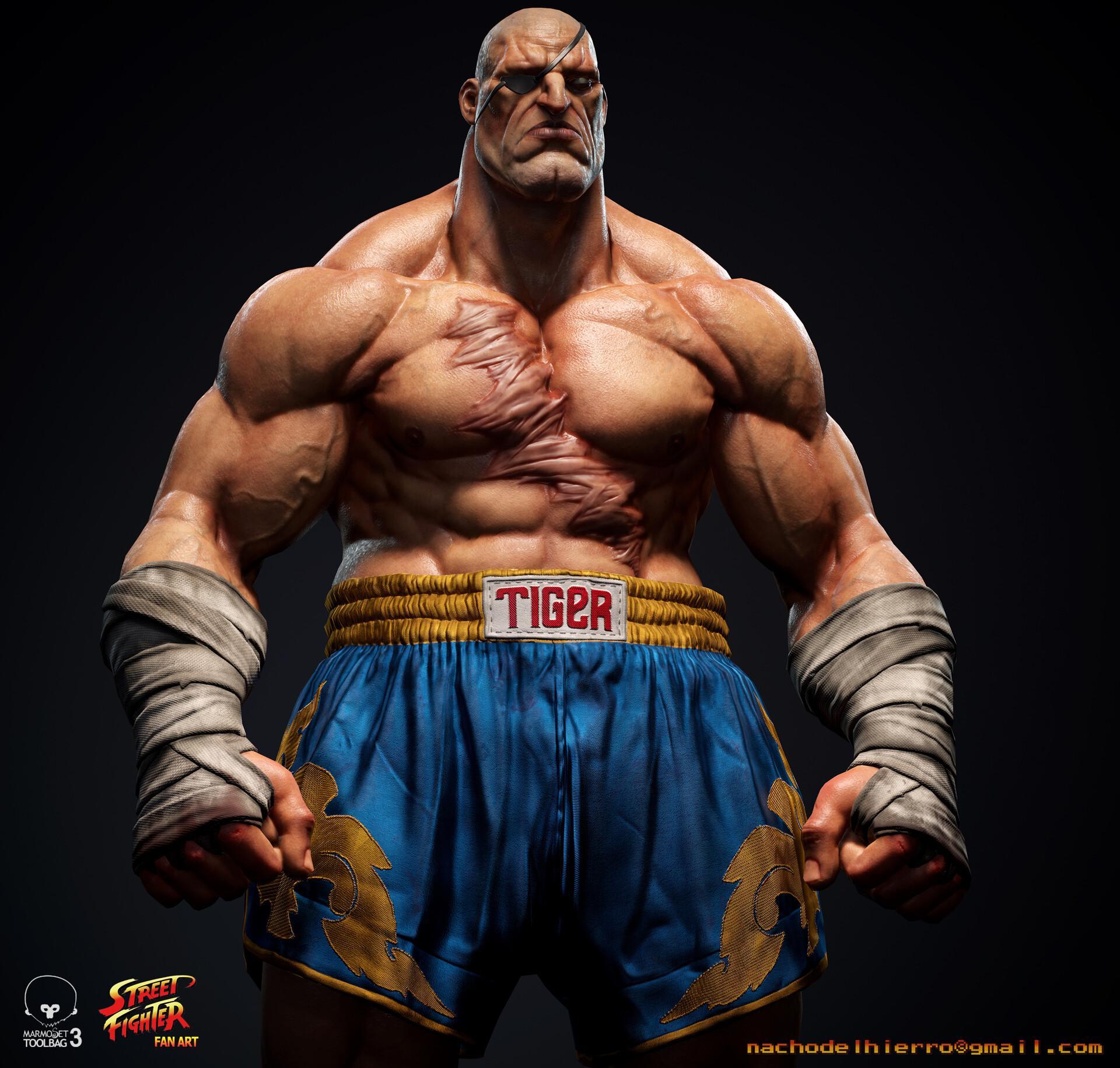 Sagat Wallpapers - Top Free Sagat Backgrounds - WallpaperAccess