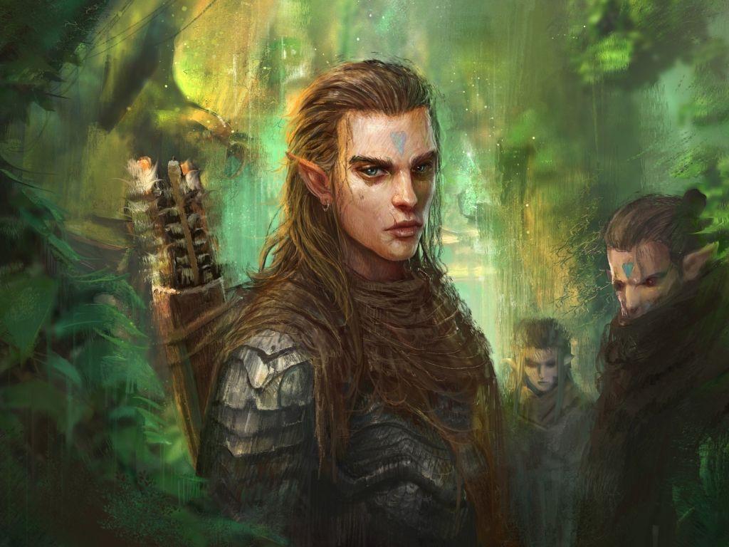 Anime Elf Warrior Wallpapers - Top Free Anime Elf Warrior Backgrounds ...