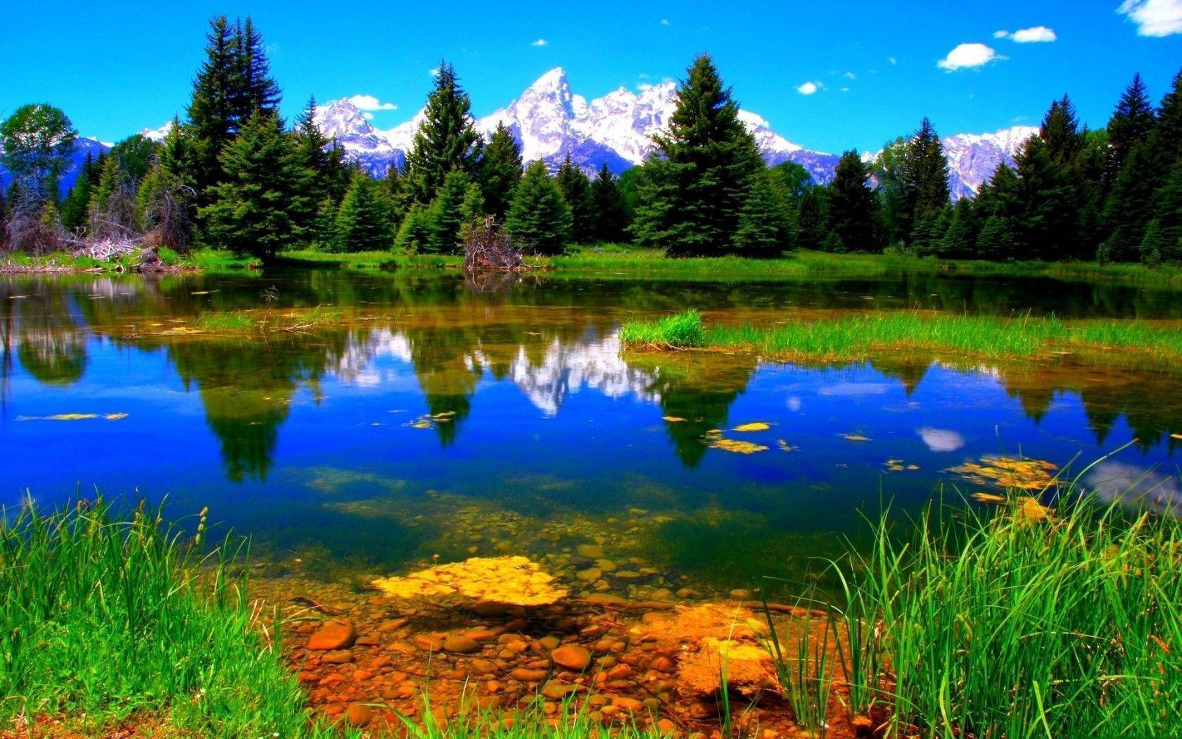 Cool Colorful Nature Wallpapers - Top Free Cool Colorful Nature ...