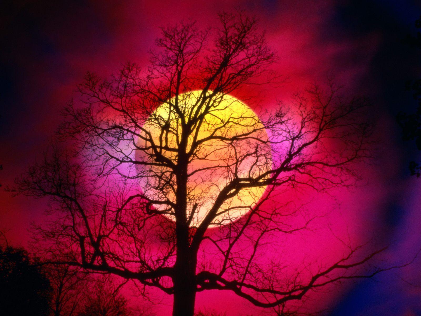 Cool Colorful Nature Wallpapers - Top Free Cool Colorful Nature ...
