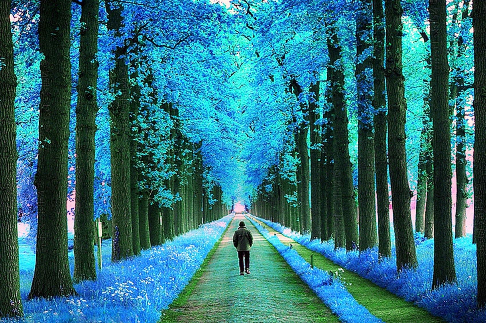 Cool Colorful Nature Wallpapers - Top Free Cool Colorful Nature ...