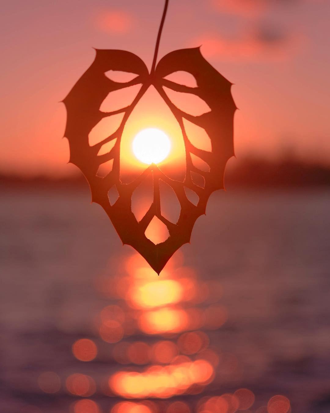 Creative Sunset Wallpapers - Top Free Creative Sunset Backgrounds ...