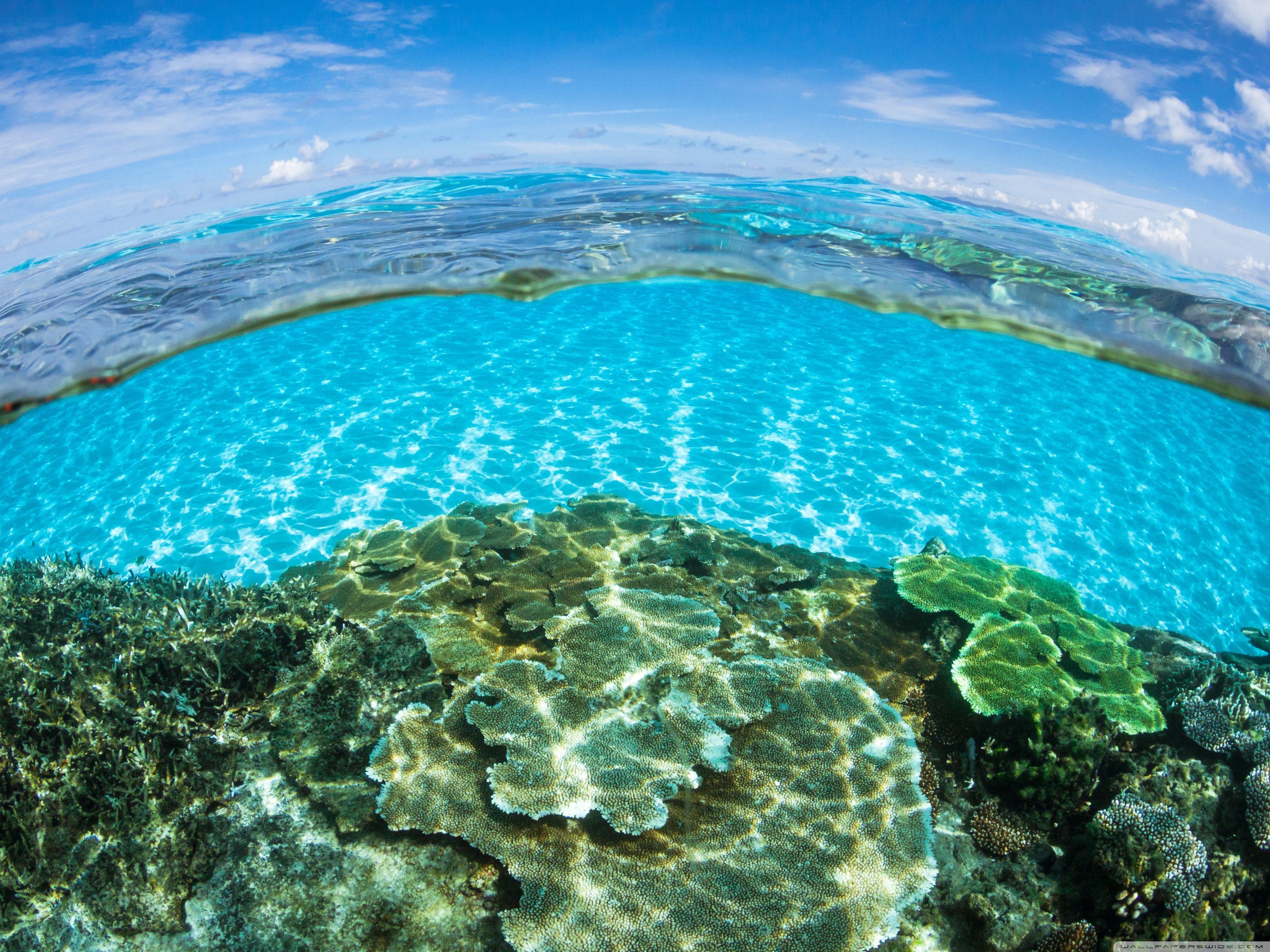 Half Water Wallpapers - Top Free Half Water Backgrounds - WallpaperAccess