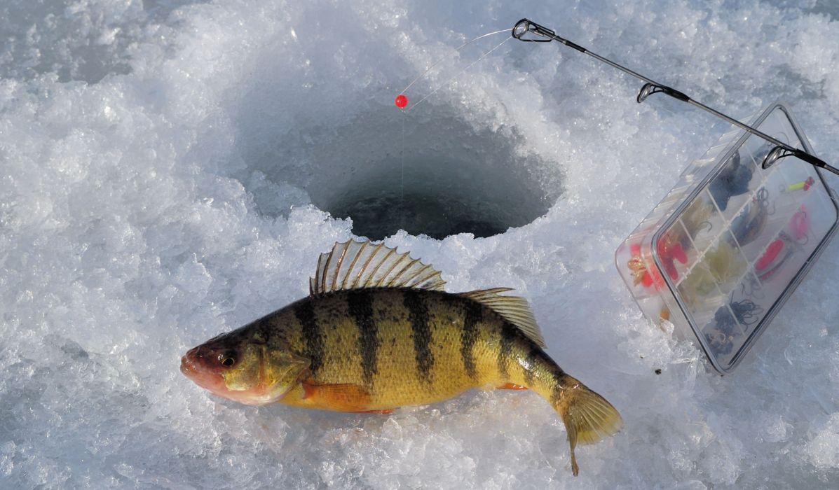 Ice Fishing Wallpapers - Top Free Ice Fishing Backgrounds - WallpaperAccess