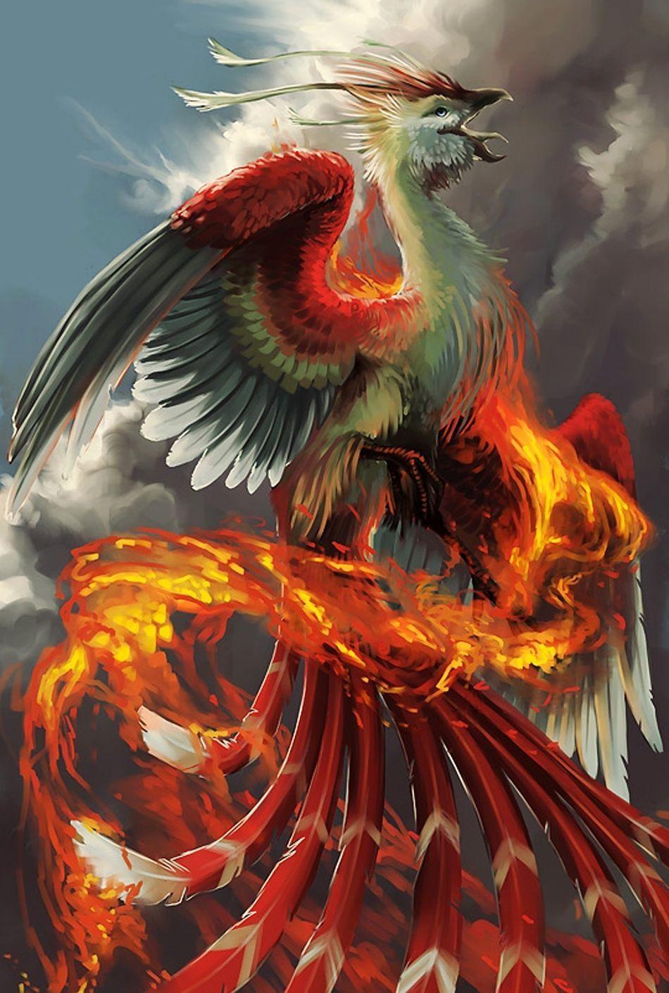 Mythical Phoenix Wallpapers - Top Free Mythical Phoenix Backgrounds ...