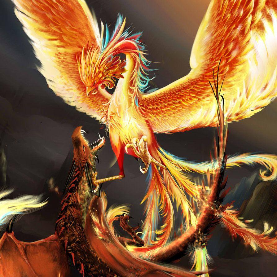 Mythical Phoenix Wallpapers - Top Free Mythical Phoenix Backgrounds ...