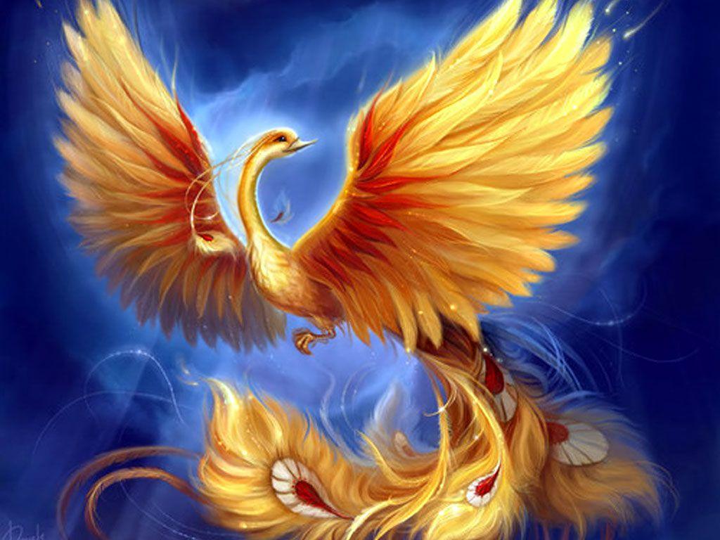 Mythical Phoenix Wallpapers - Top Free Mythical Phoenix Backgrounds ...