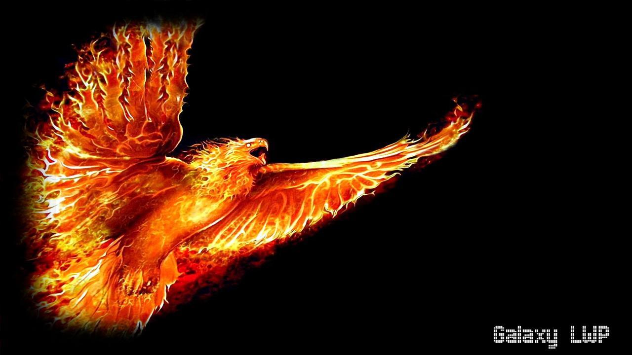 Mythical Phoenix Wallpapers - Top Free Mythical Phoenix Backgrounds ...
