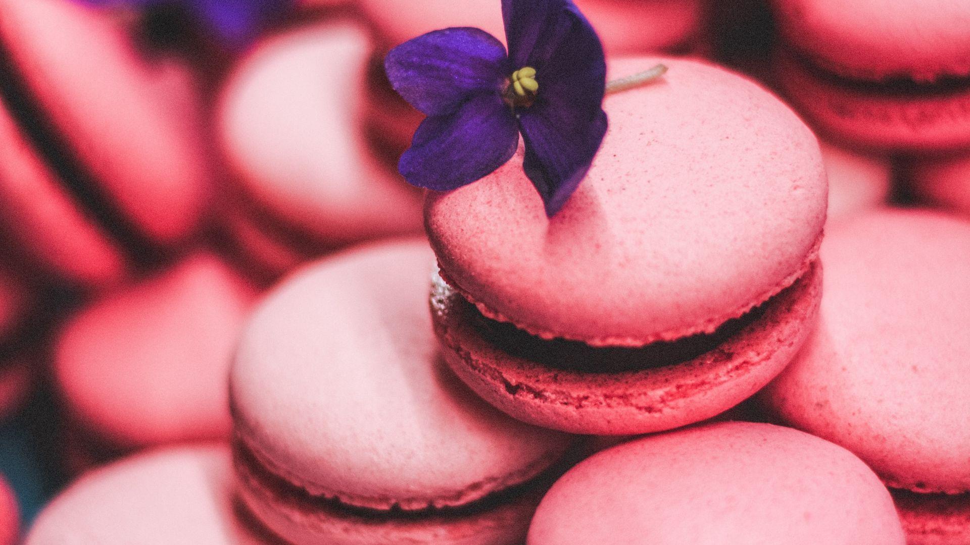 Macaron Desktop Wallpapers - Top Free Macaron Desktop Backgrounds ...