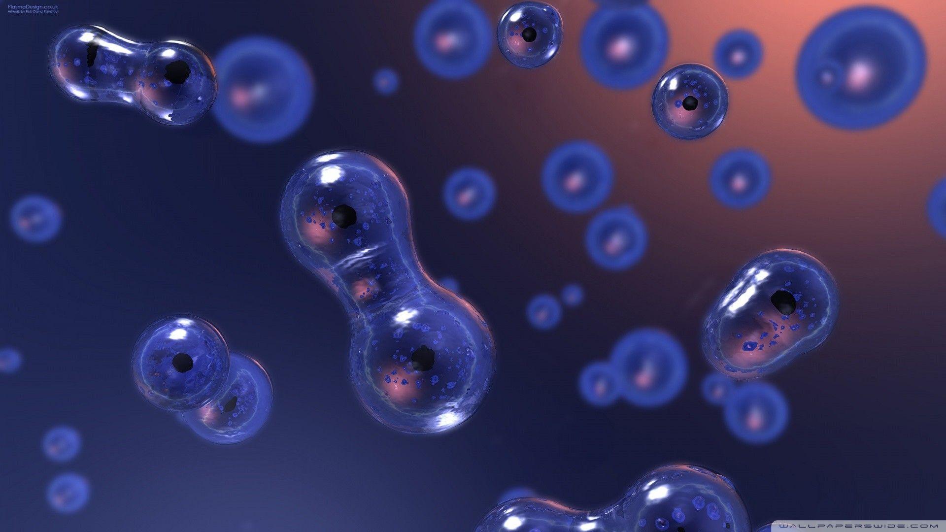 Biology Art Wallpapers - Top Free Biology Art Backgrounds - WallpaperAccess