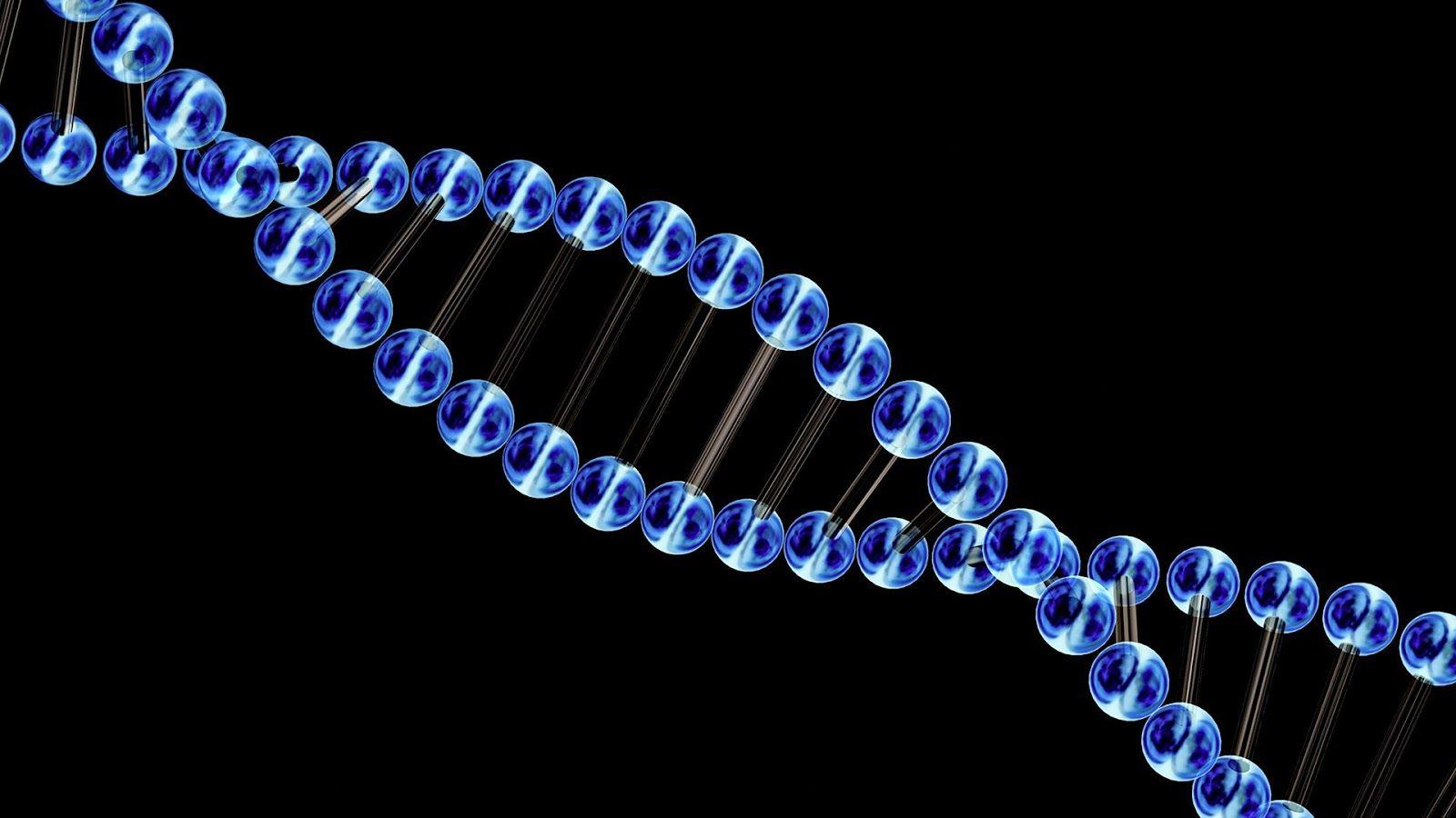 Beautiful Biology Wallpapers - Top Free Beautiful Biology Backgrounds ...