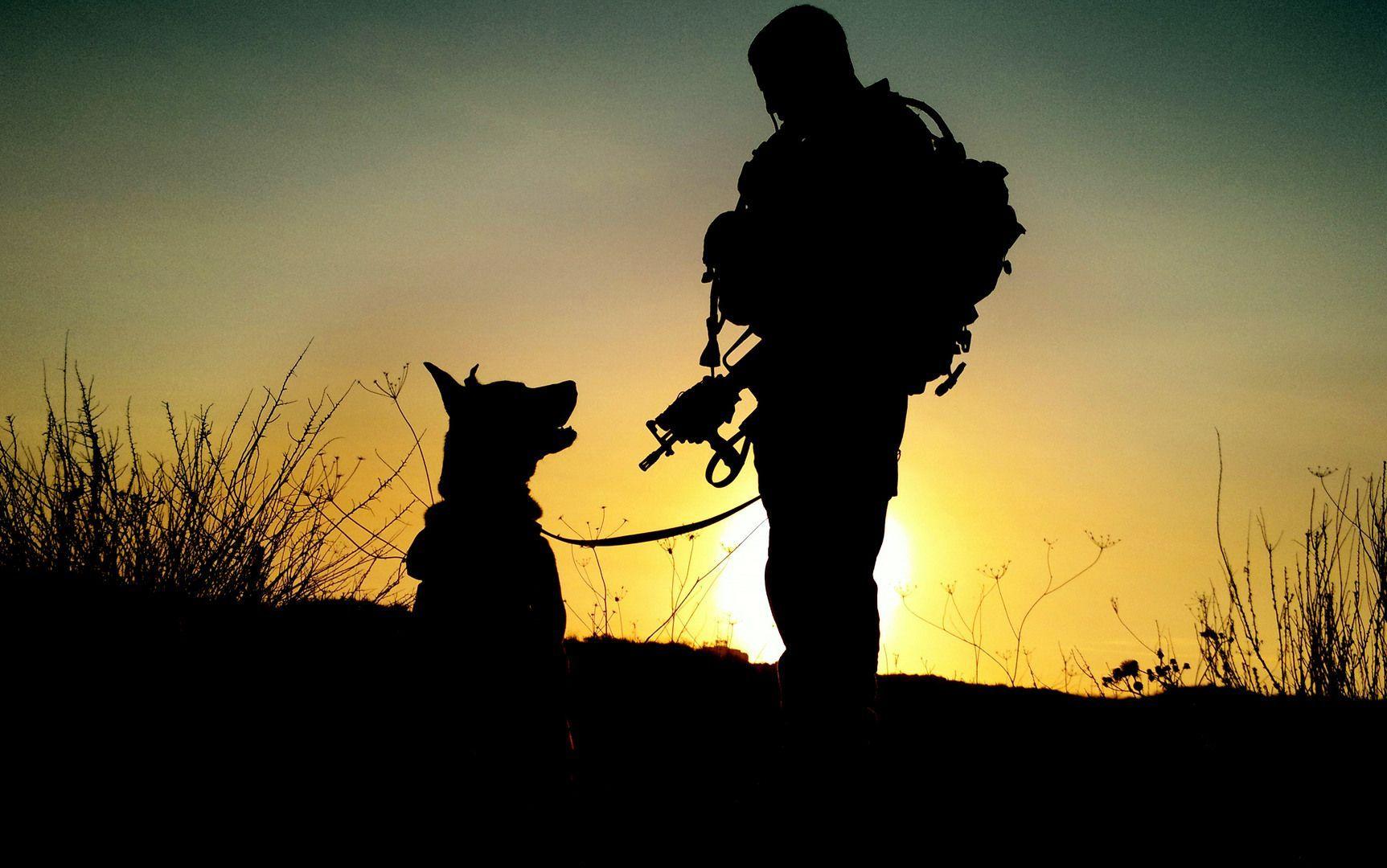 Dog Silhouette Wallpapers - Top Free Dog Silhouette Backgrounds ...