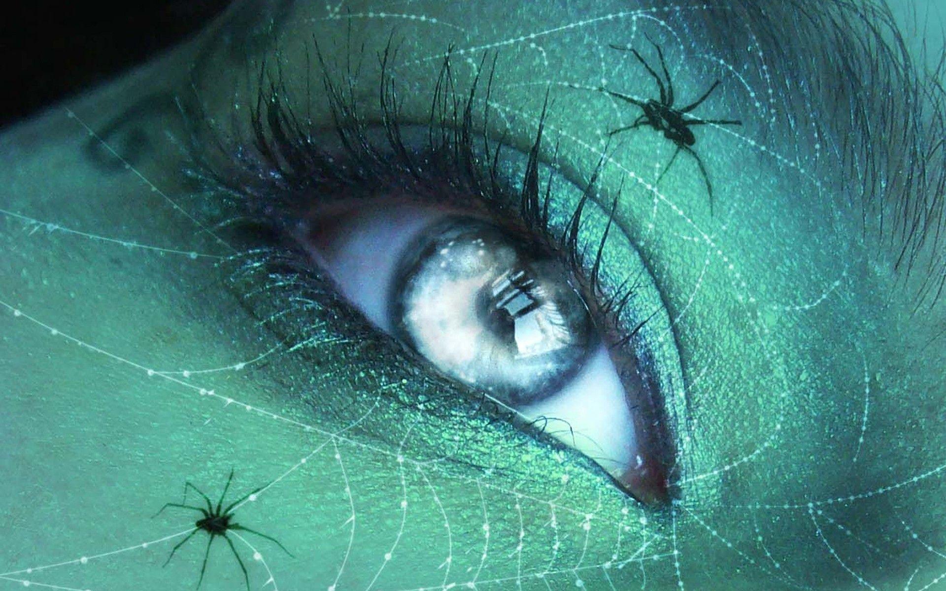 Spider Eyes HD Wallpapers - Top Free Spider Eyes HD Backgrounds ...