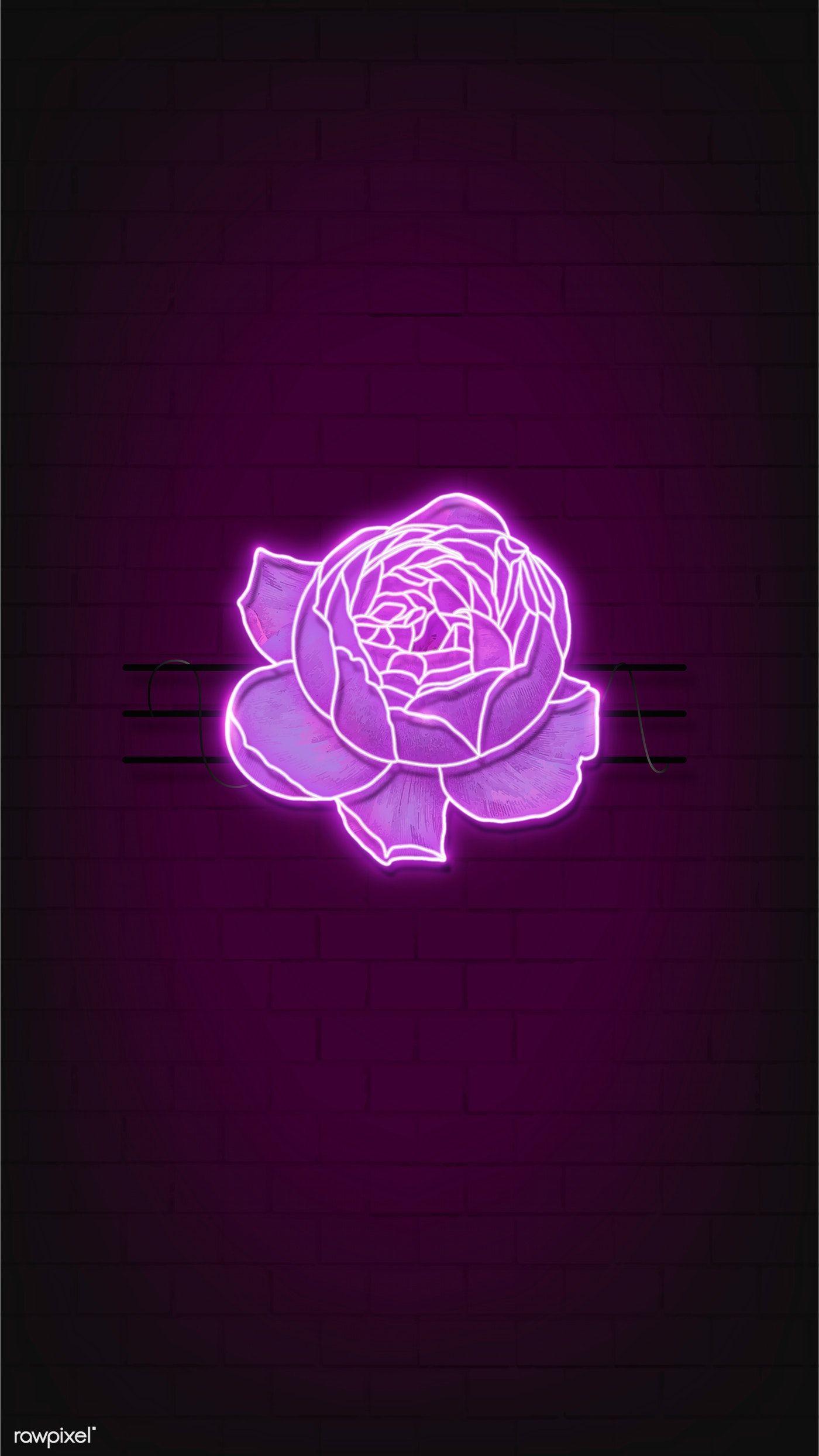 Cool Neon Rose Wallpapers - Top Free Cool Neon Rose Backgrounds ...