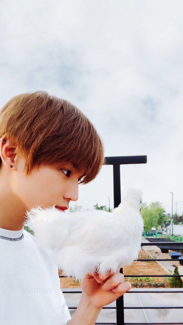 NCT Cute Wallpapers - Top Free NCT Cute Backgrounds - WallpaperAccess