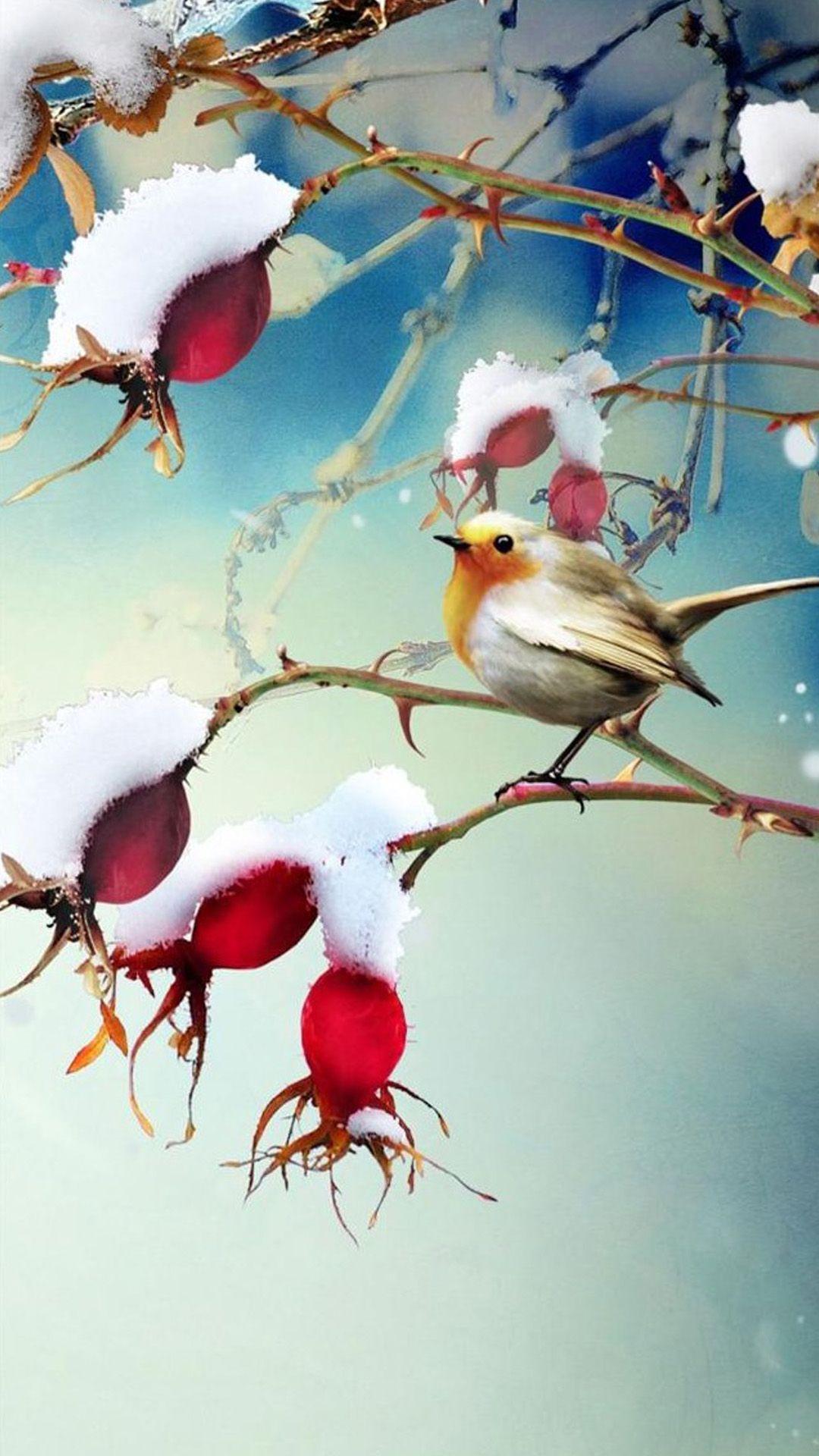 Winter Birds Wallpapers - Top Free Winter Birds Backgrounds ...