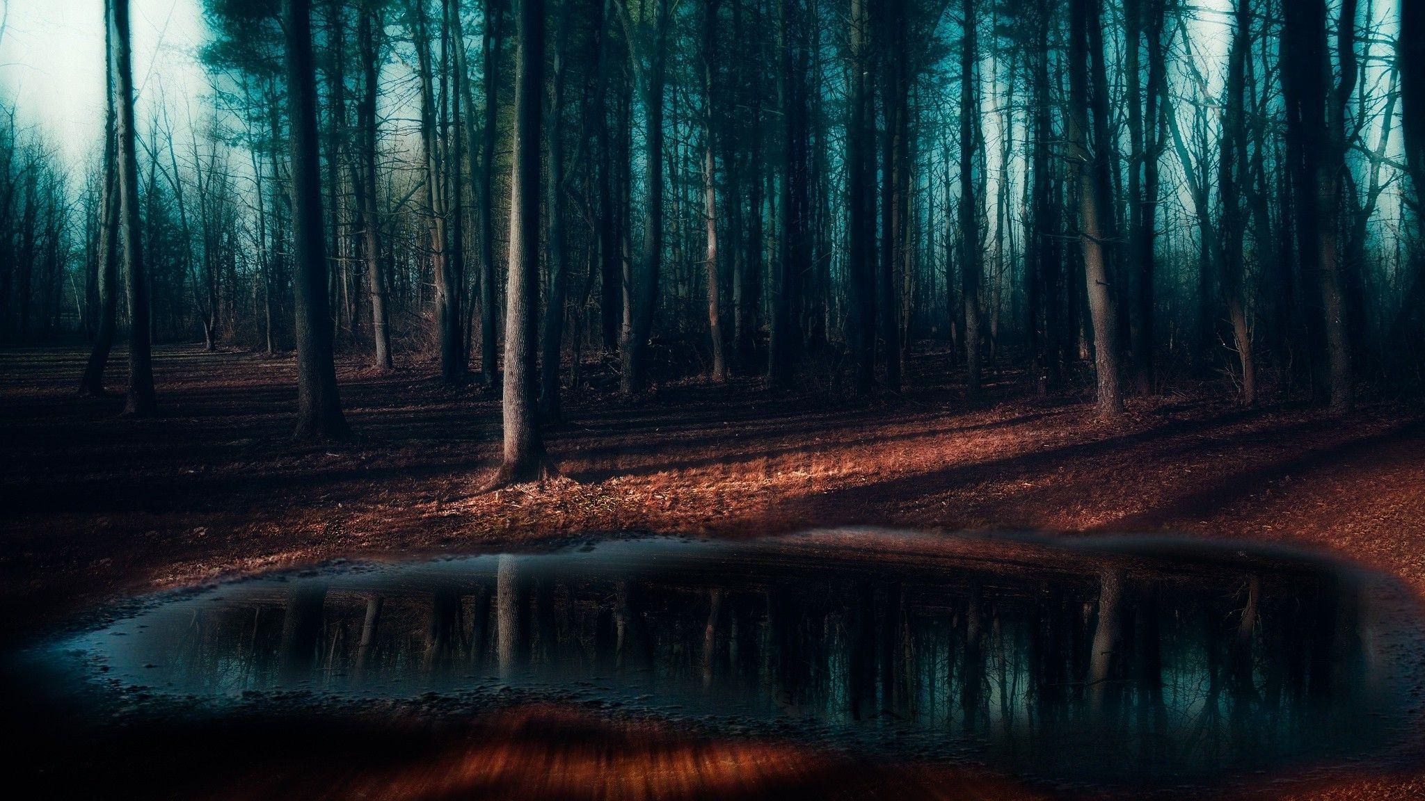 Dark Frost Wallpapers - Top Free Dark Frost Backgrounds - WallpaperAccess
