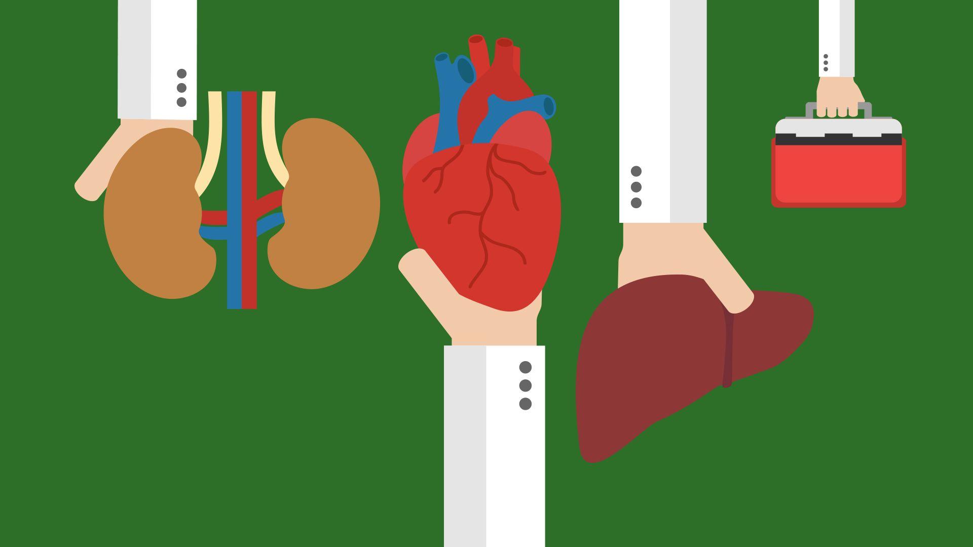 Organ Donation Wallpapers - Top Free Organ Donation Backgrounds ...