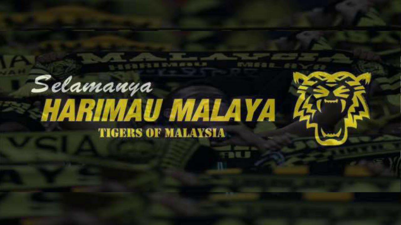Harimau Malaya Wallpapers - Top Free Harimau Malaya Backgrounds - WallpaperAccess