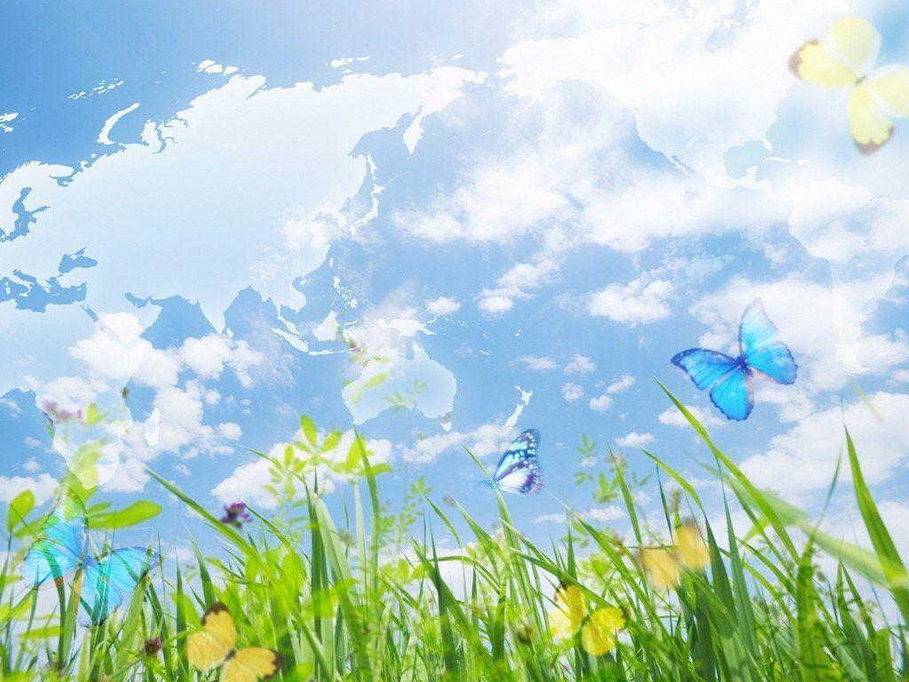 Environment Wallpapers - Top Free Environment Backgrounds - WallpaperAccess