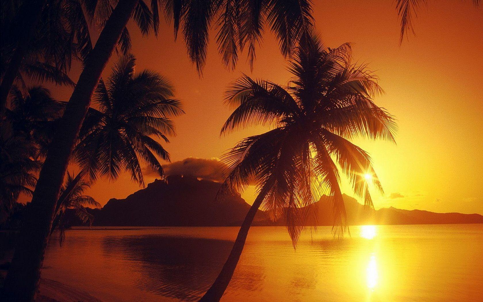 Philippines Nature Wallpapers - Top Free Philippines Nature Backgrounds ...