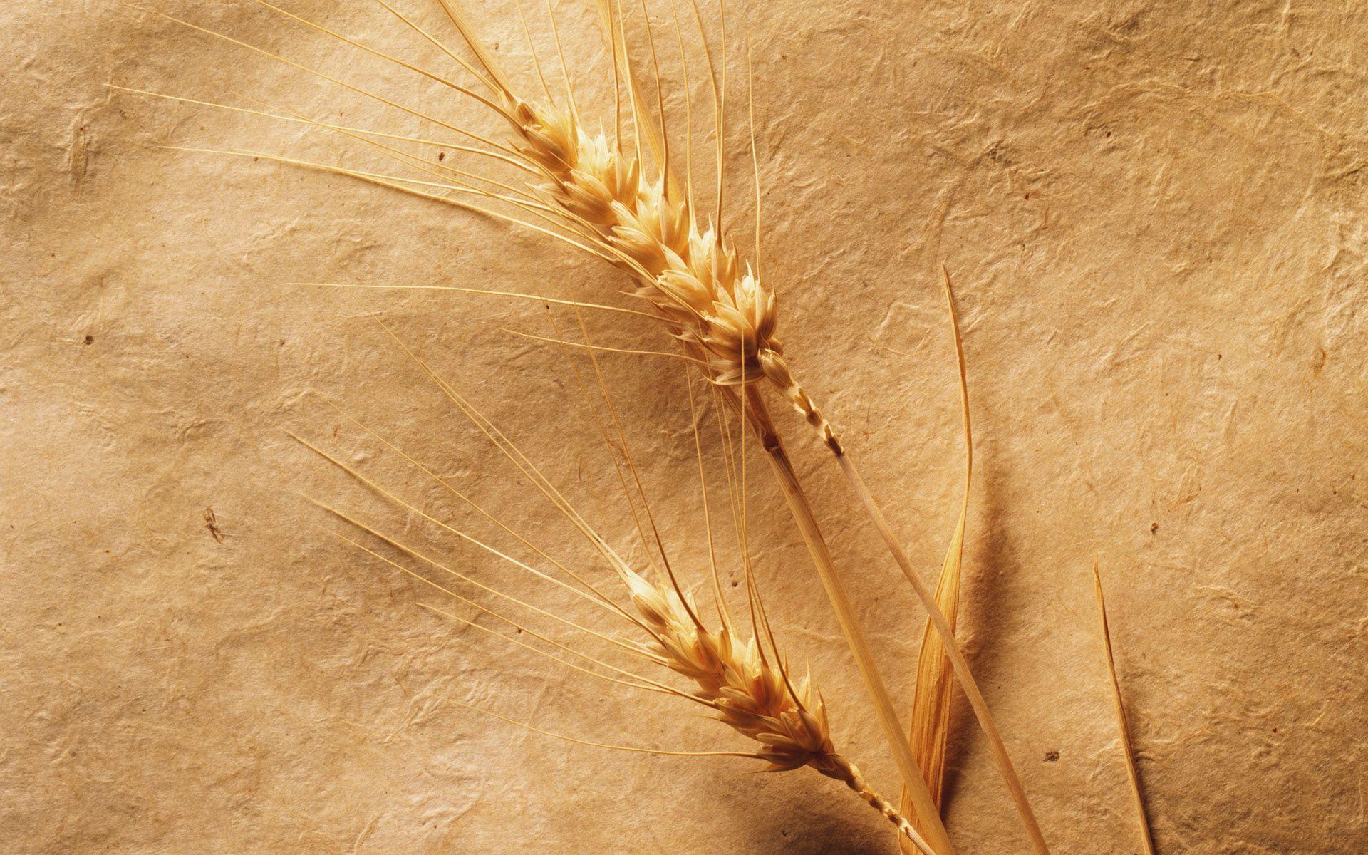 1920X1200 Minimalist Nature Wallpapers - Top Free 1920X1200 Minimalist ...