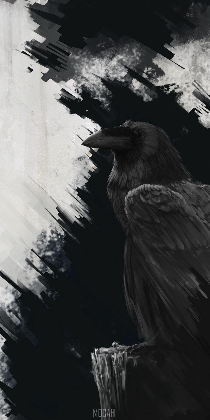 Crow Phone Wallpapers - Top Free Crow Phone Backgrounds - WallpaperAccess