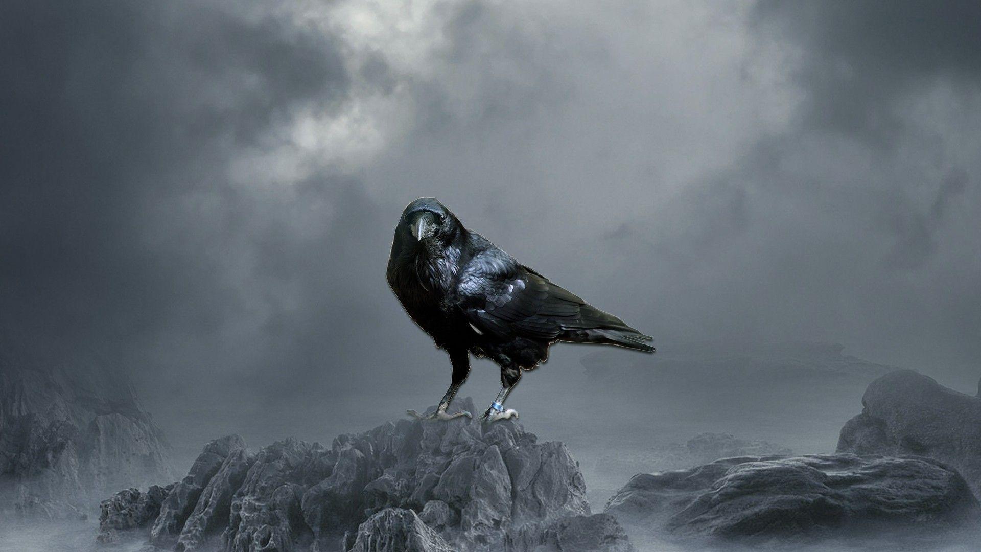 1920x1080 Crow Wallpapers - Top Free 1920x1080 Crow Backgrounds ...