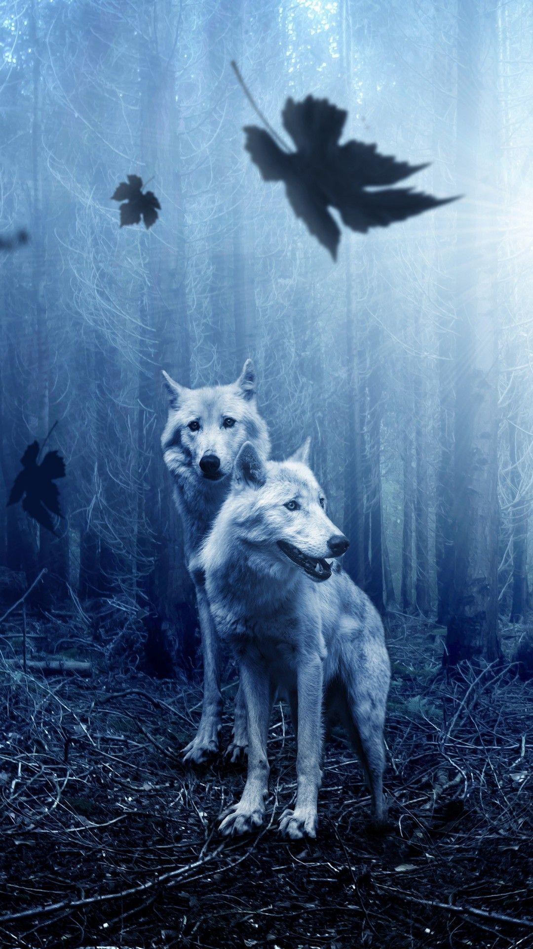 Crow and Wolf Wallpapers - Top Free Crow and Wolf Backgrounds ...