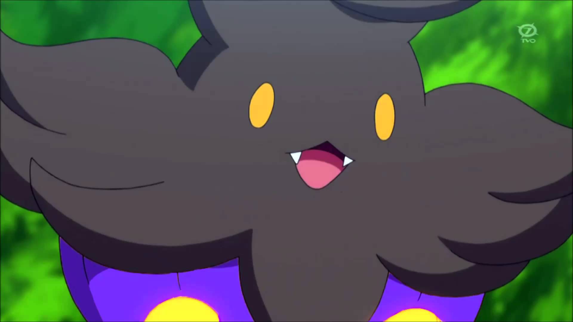 Pumpkaboo Wallpapers - Top Free Pumpkaboo Backgrounds - WallpaperAccess