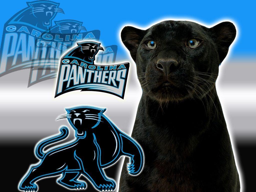 Carolina Panthers Logo Wallpapers - Top Free Carolina Panthers Logo ...