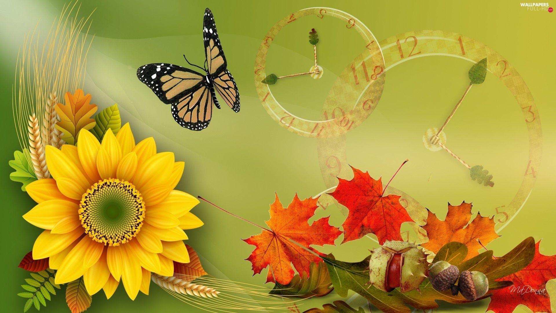 Fall Butterfly Wallpapers - Top Free Fall Butterfly Backgrounds ...