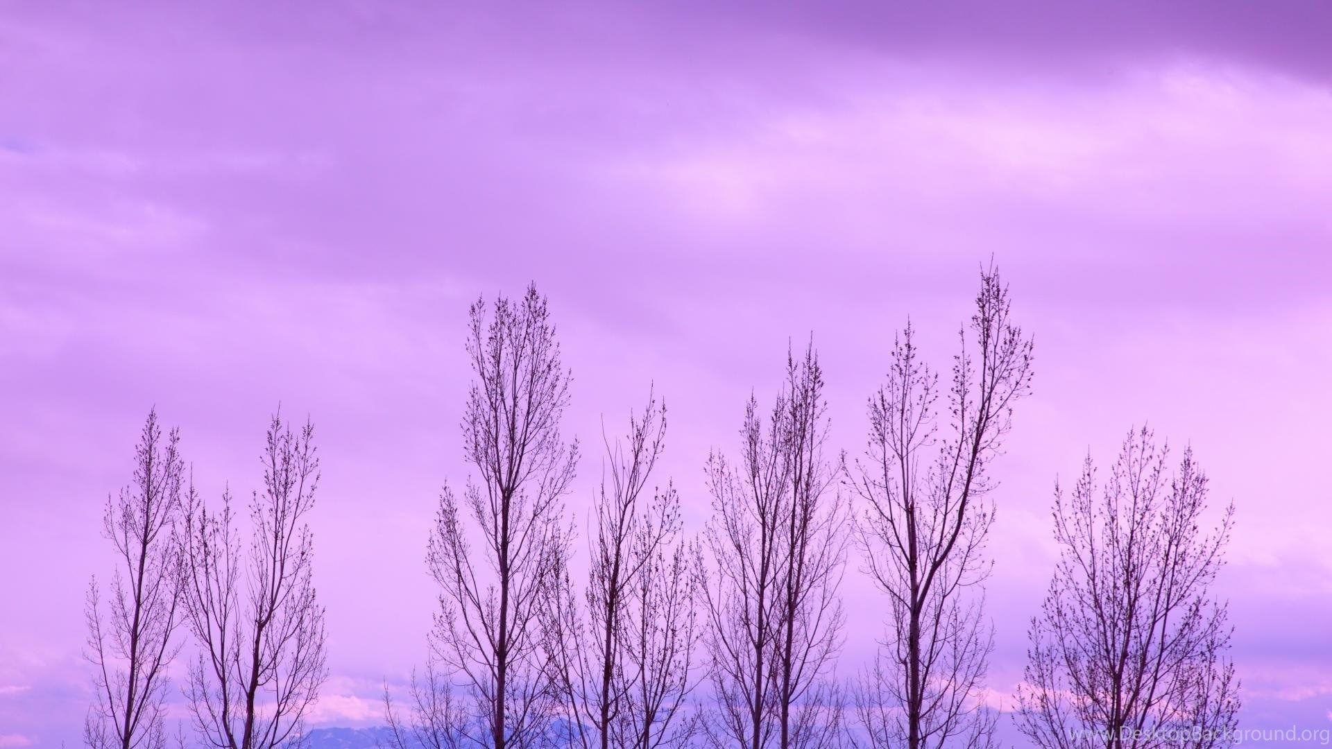 Purple Sky Desktop Wallpapers - Top Free Purple Sky Desktop Backgrounds ...