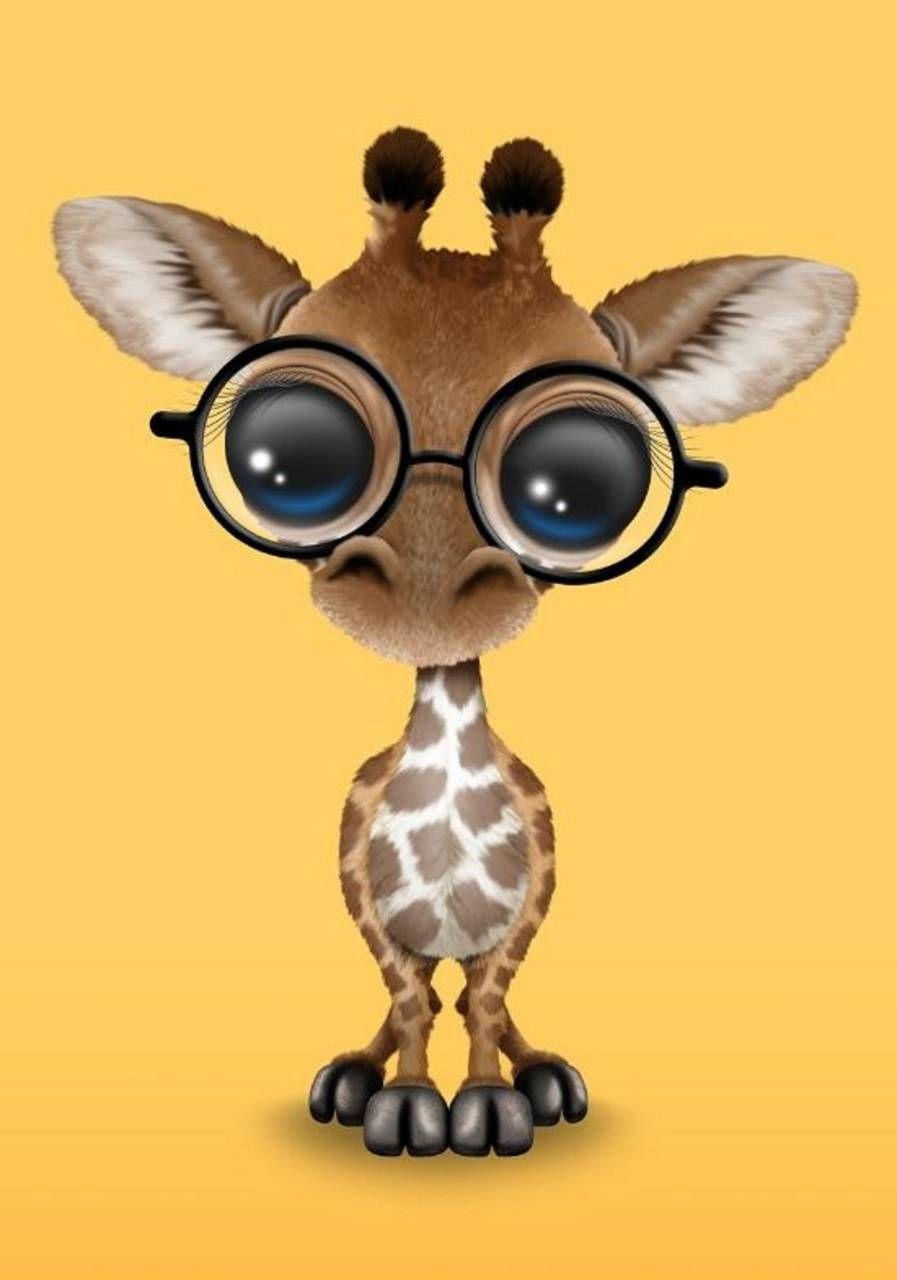 Giraffe Phone Wallpapers - Top Free Giraffe Phone Backgrounds ...
