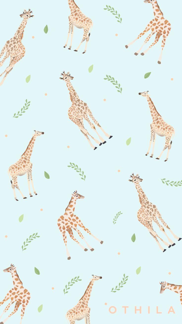 Giraffe Phone Wallpapers - Top Free Giraffe Phone Backgrounds ...