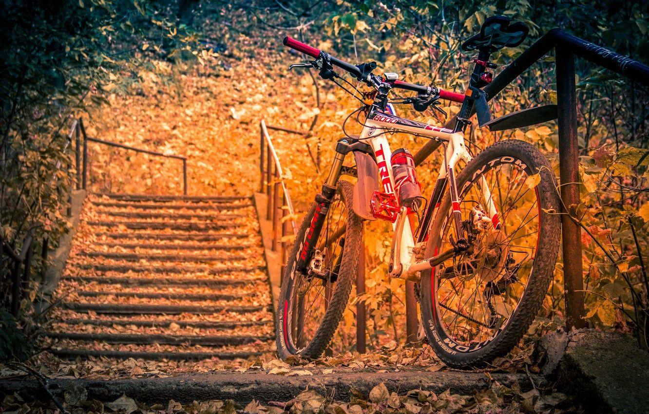 Trek MTB Wallpapers - Top Free Trek MTB Backgrounds - WallpaperAccess