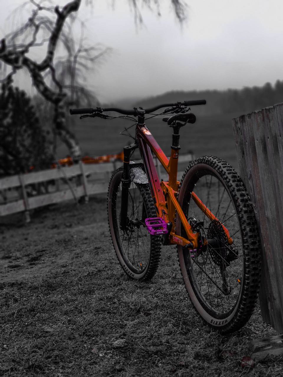 Trek MTB Wallpapers - Top Free Trek MTB Backgrounds - WallpaperAccess