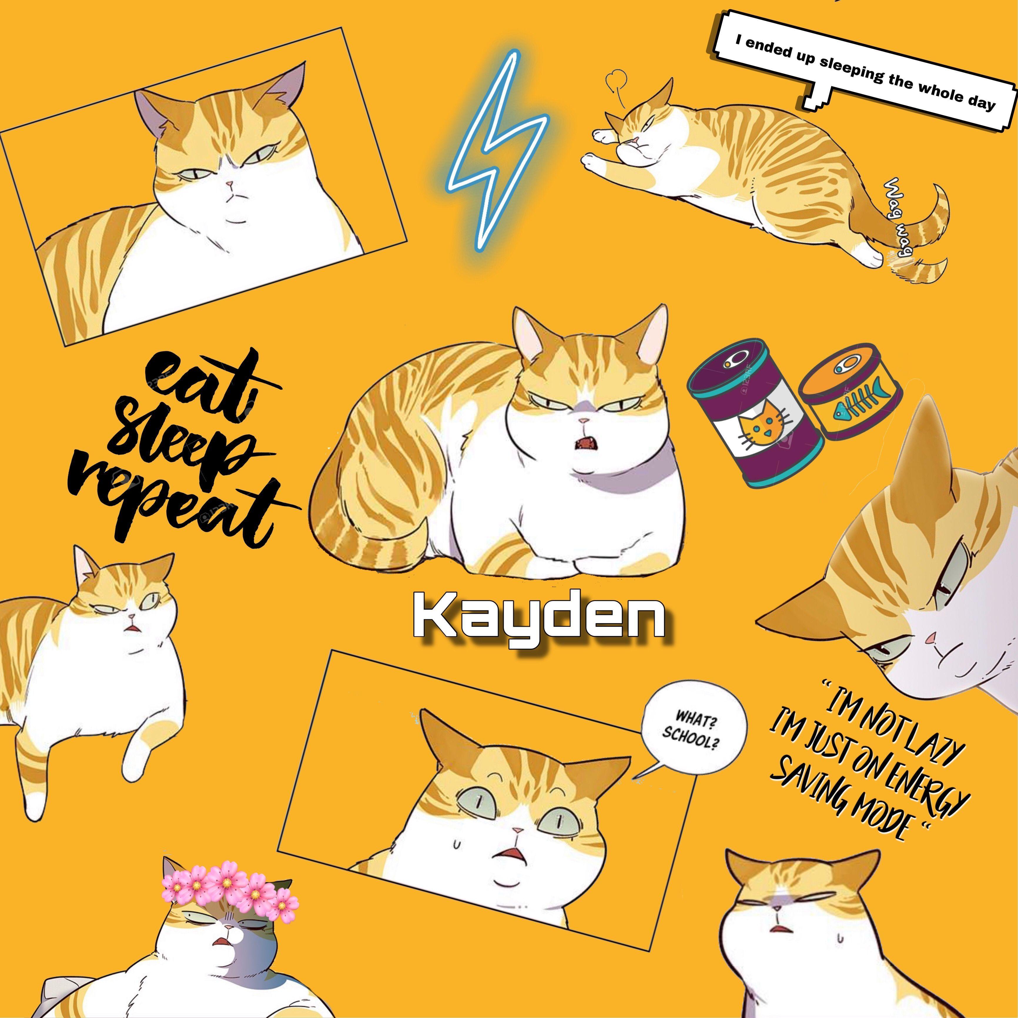 Eleceed Wallpapers - Top Free Eleceed Backgrounds - WallpaperAccess