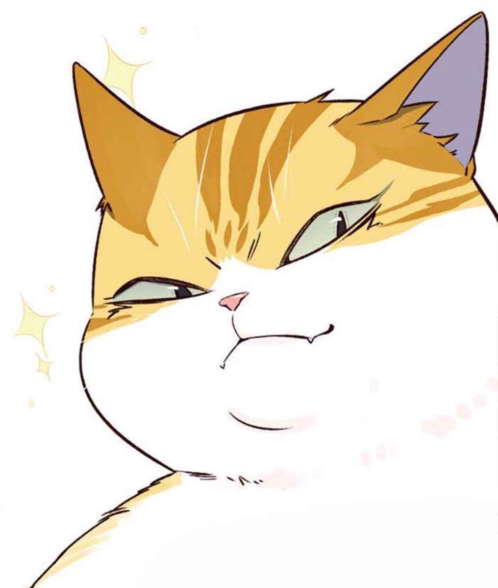 Eleceed Wallpapers - Top Free Eleceed Backgrounds - WallpaperAccess