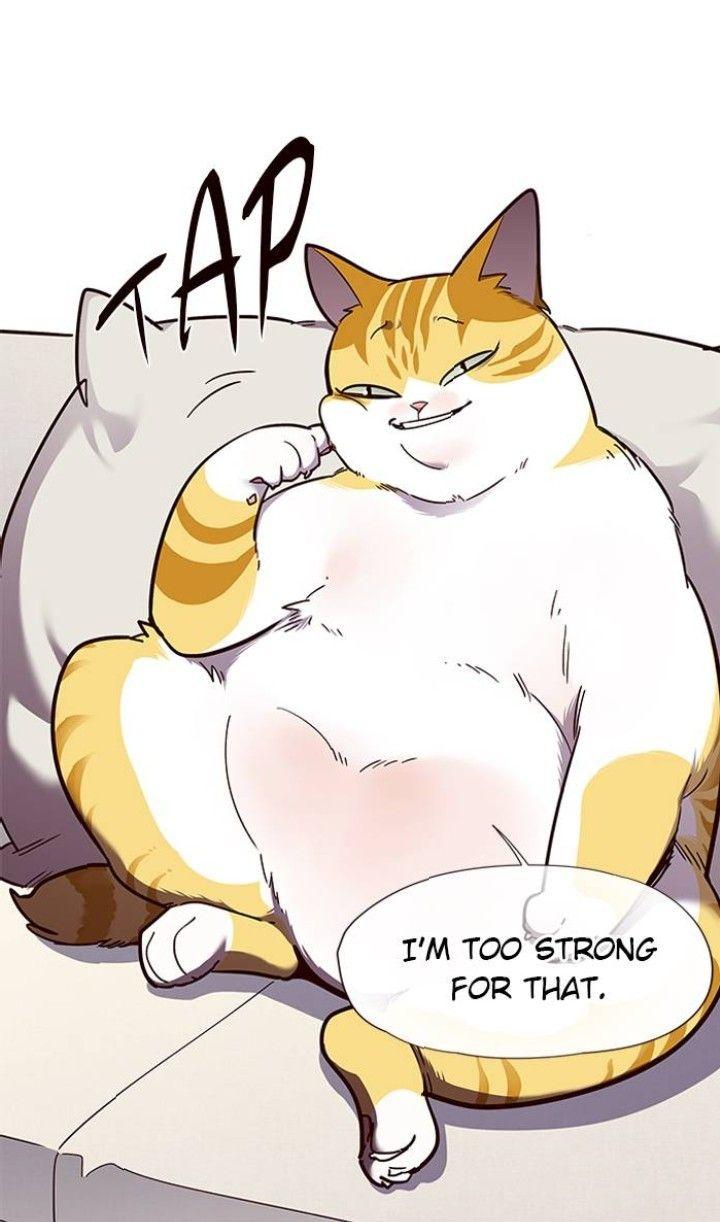 Eleceed Wallpapers - Top Free Eleceed Backgrounds - WallpaperAccess