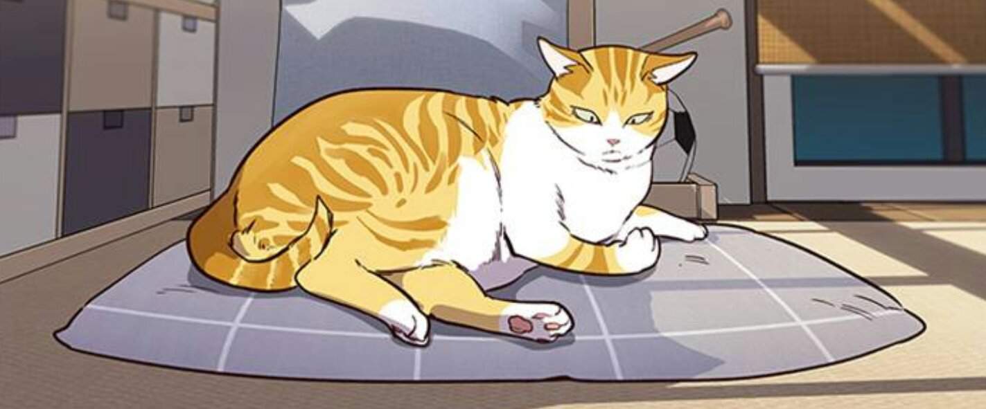 Eleceed Wallpapers - Top Free Eleceed Backgrounds - WallpaperAccess