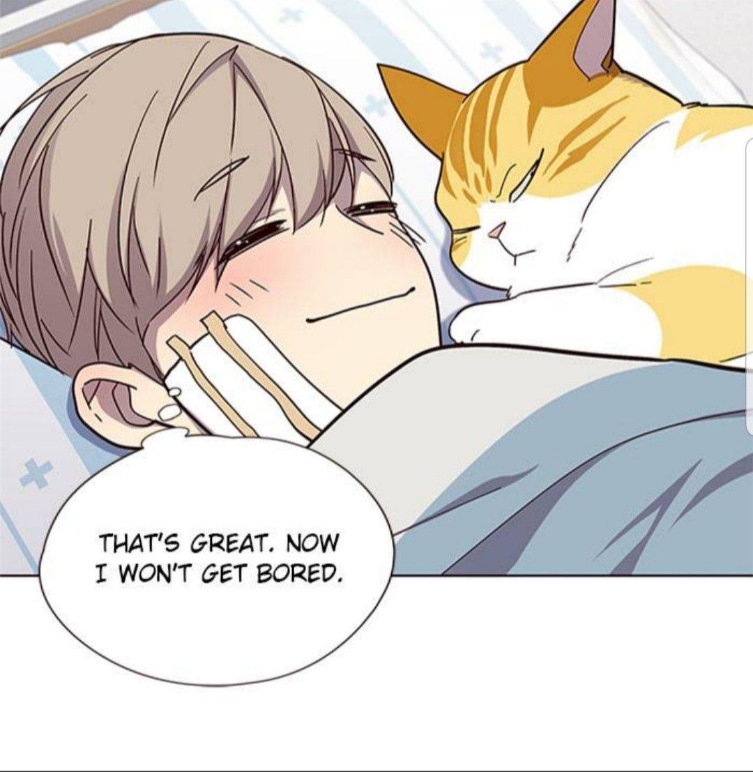 Eleceed Wallpapers - Top Free Eleceed Backgrounds - WallpaperAccess