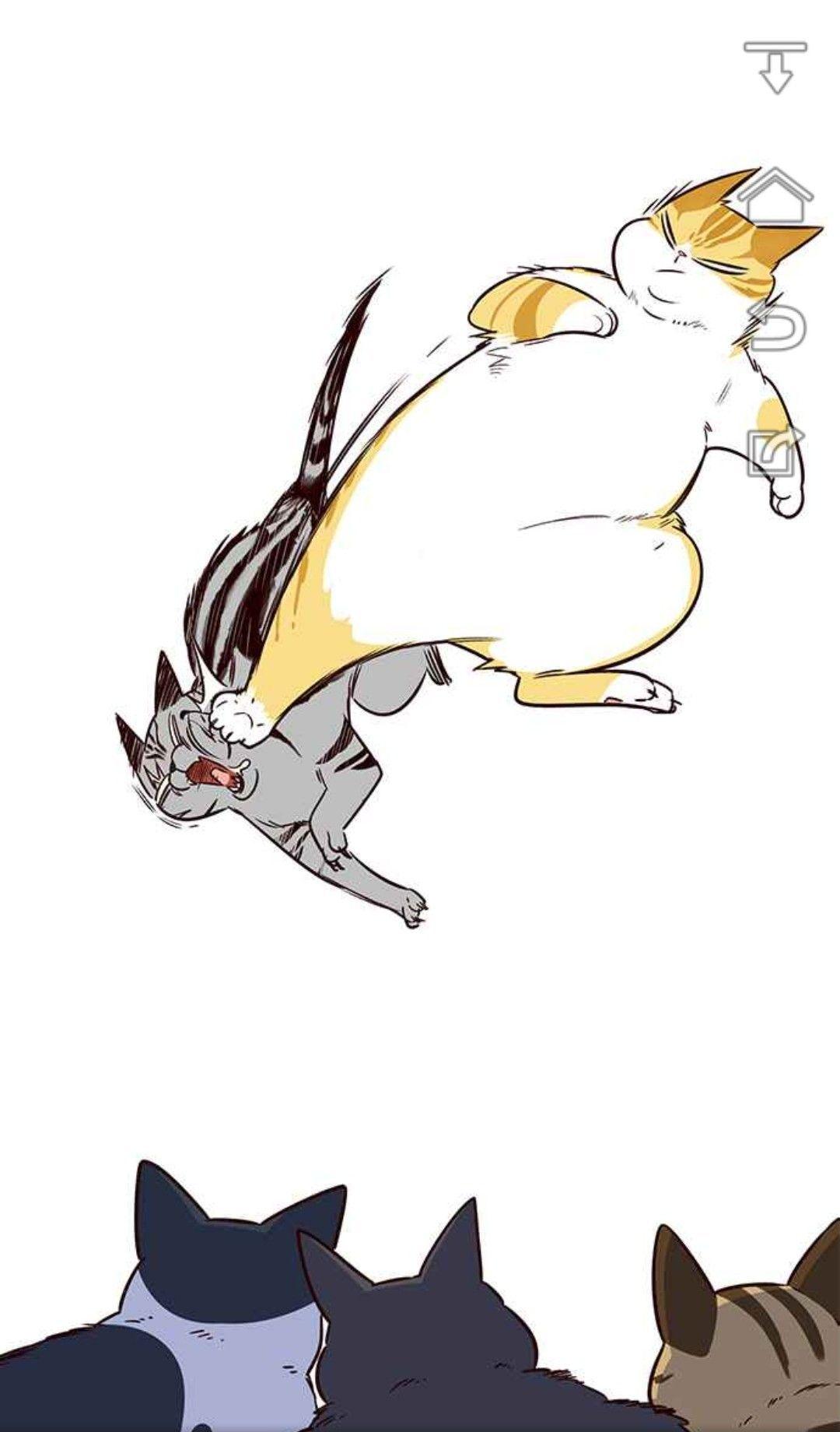 Eleceed Wallpapers - Top Free Eleceed Backgrounds - WallpaperAccess