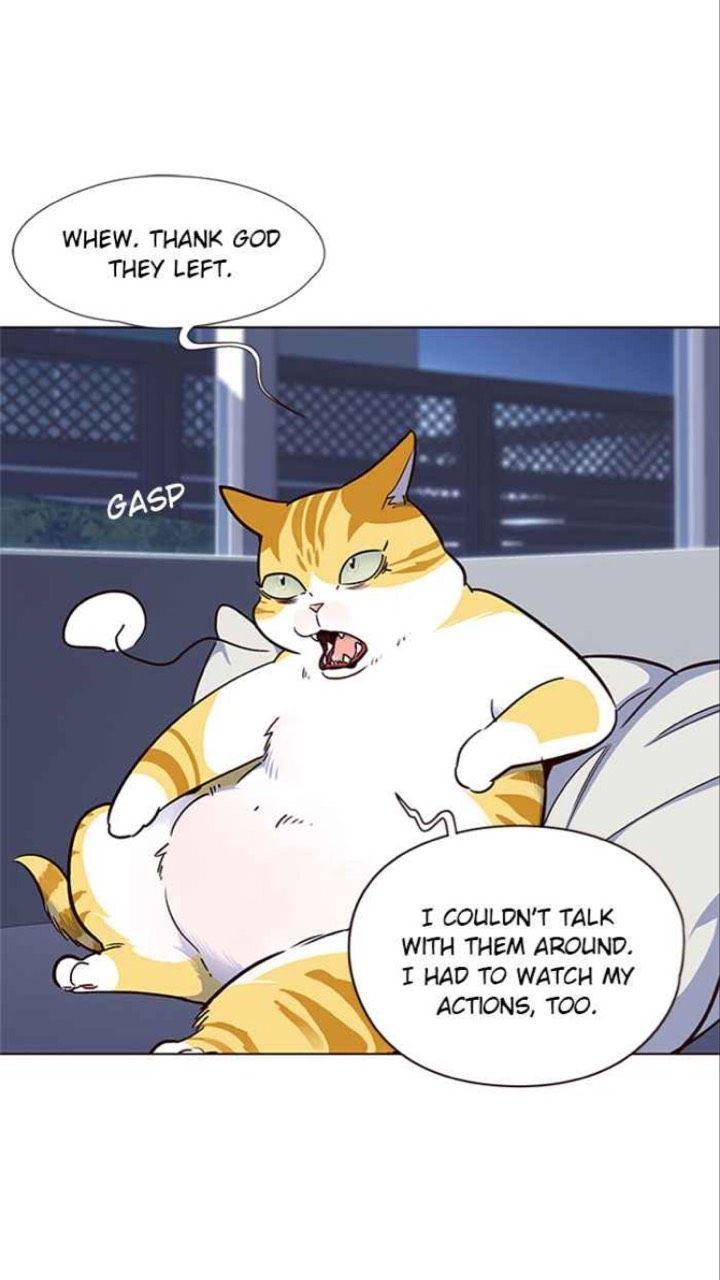 Eleceed Wallpapers - Top Free Eleceed Backgrounds - WallpaperAccess