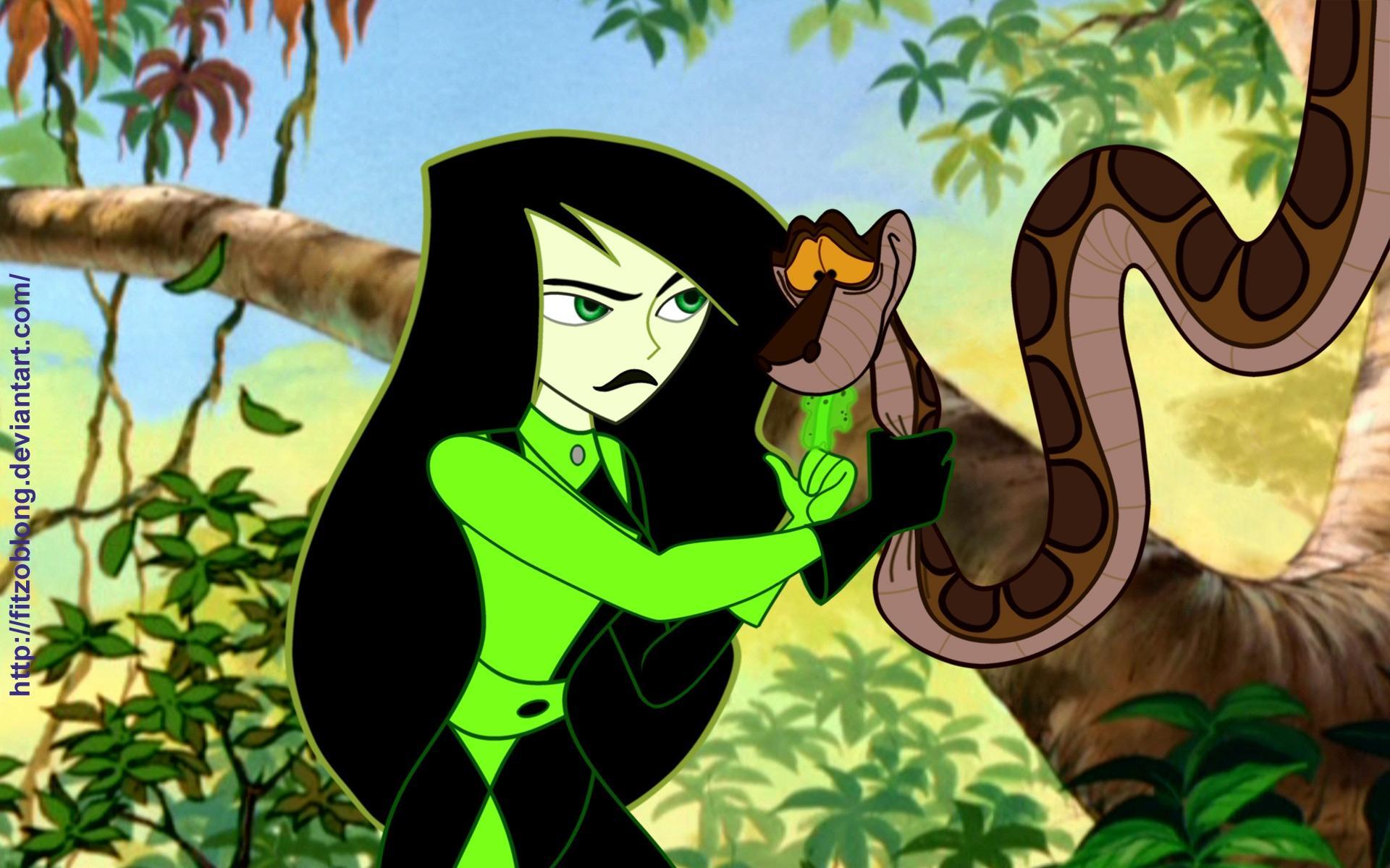 Shego Wallpapers - Top Free Shego Backgrounds - WallpaperAccess