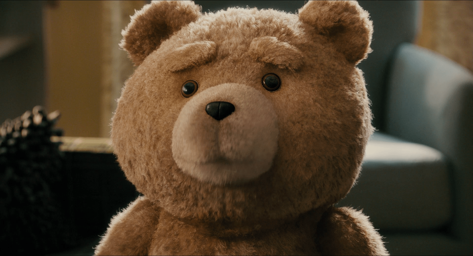 Teddy Movie Wallpapers - Top Free Teddy Movie Backgrounds - WallpaperAccess