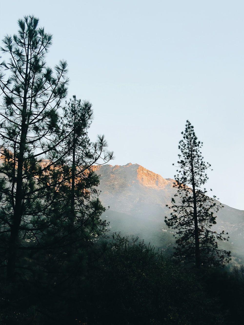 Morning View Wallpapers - Top Free Morning View Backgrounds ...