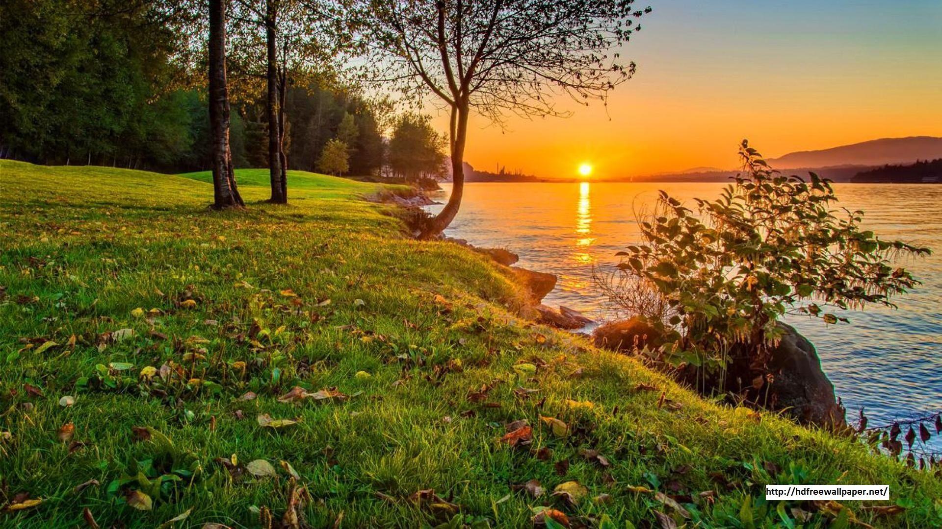 Morning View Wallpapers - Top Free Morning View Backgrounds ...