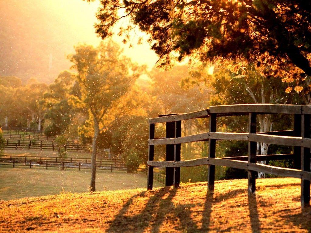 Morning View Wallpapers - Top Free Morning View Backgrounds ...