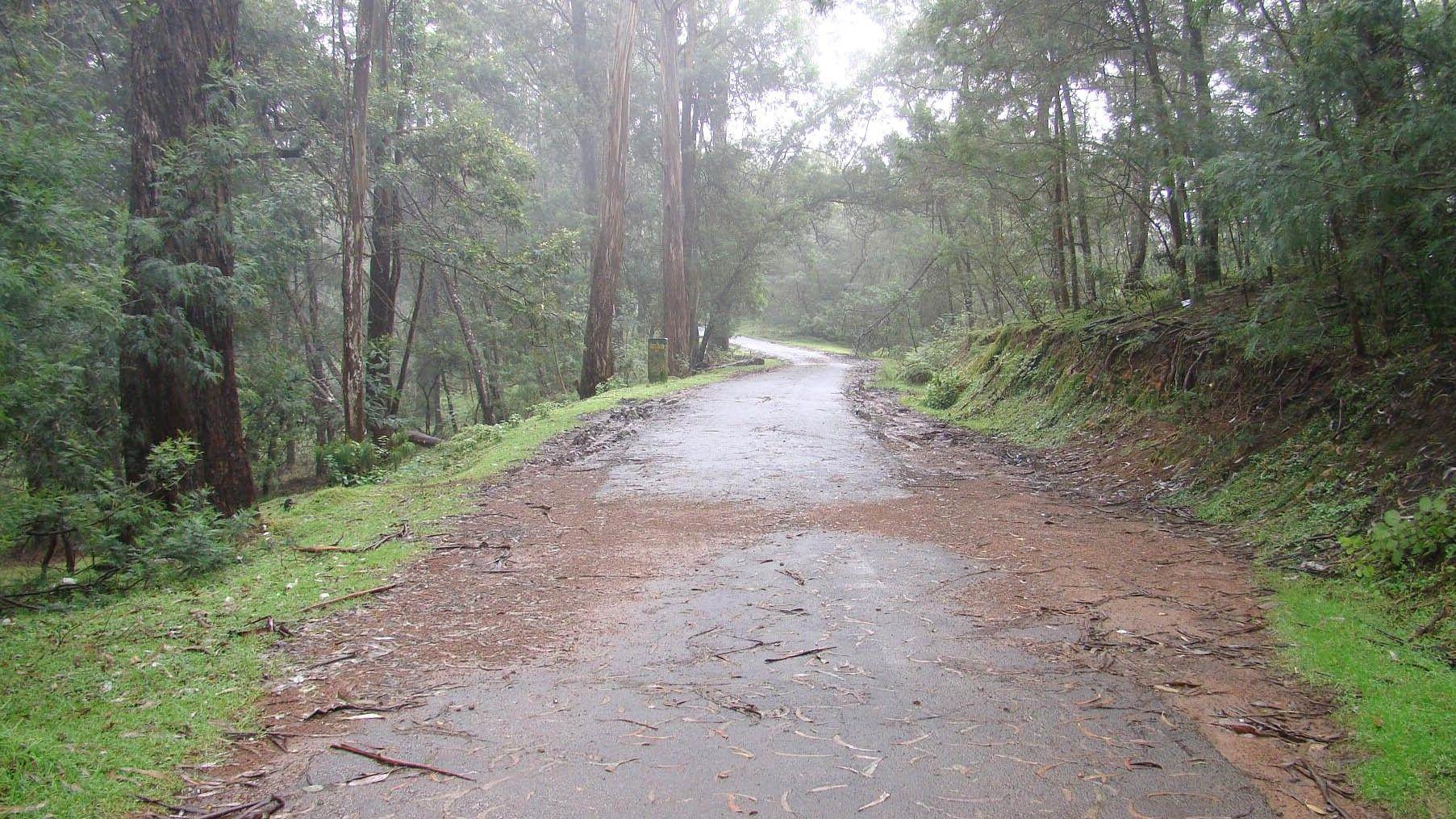 Morning View Wallpapers - Top Free Morning View Backgrounds ...